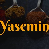 Yasemin Gotovit Аватар автора