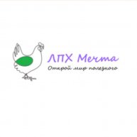 ЛПХ Мечта Аватар автора