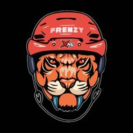 Hockey Frenzy Team Аватар автора