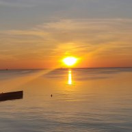 @ambersberg Аватар автора