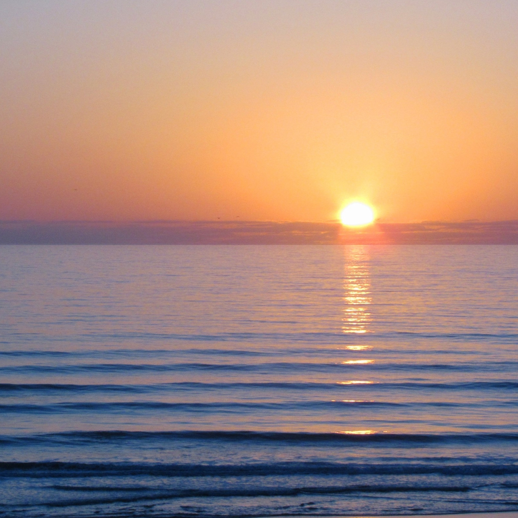 SKYLINE Аватар автора