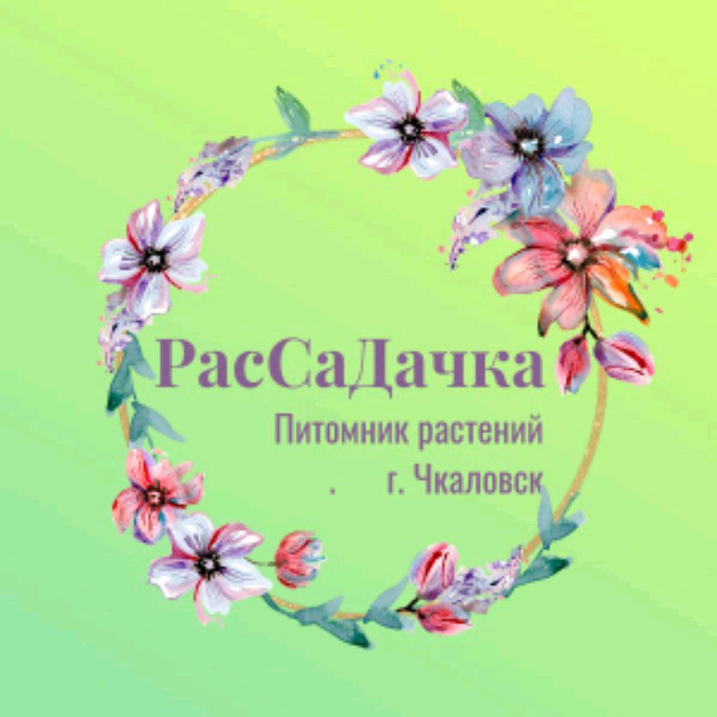 РасСаДаЧка-Чкаловск