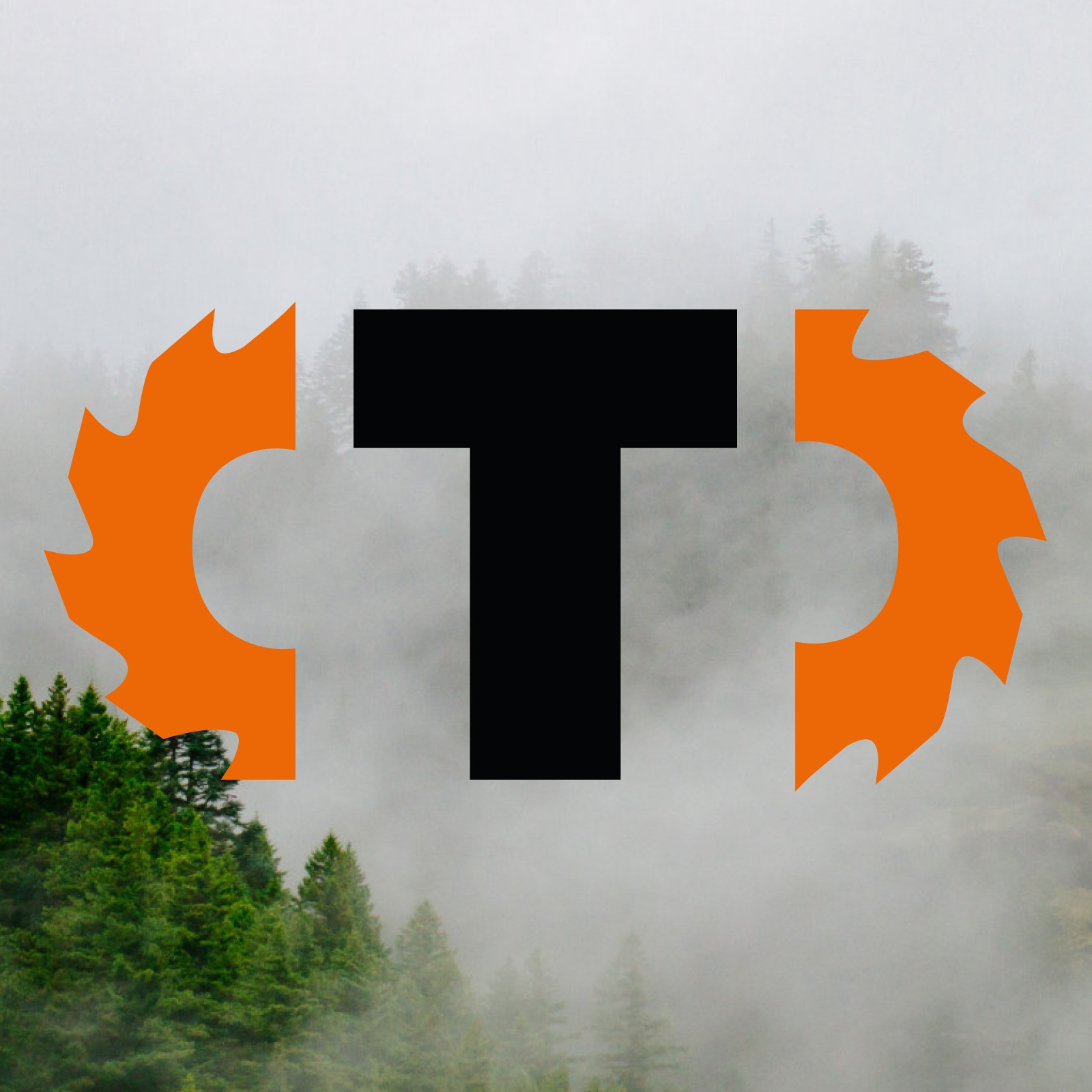 ТРИУМФ – Лесопильное Оборудование