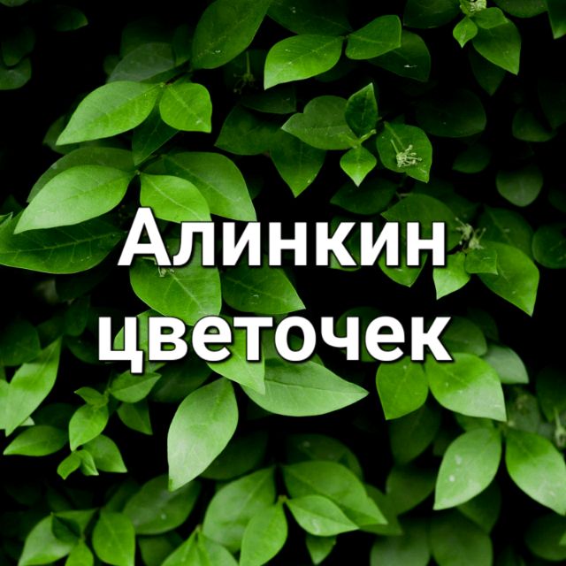 Аватар автора