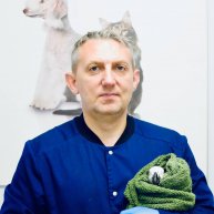Лечение птиц. Вызов орнитолога на дом и онлайн. Аватар автора