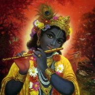 HareKrishna Аватар автора