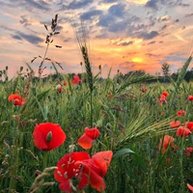 Слава Рассвет Аватар автора
