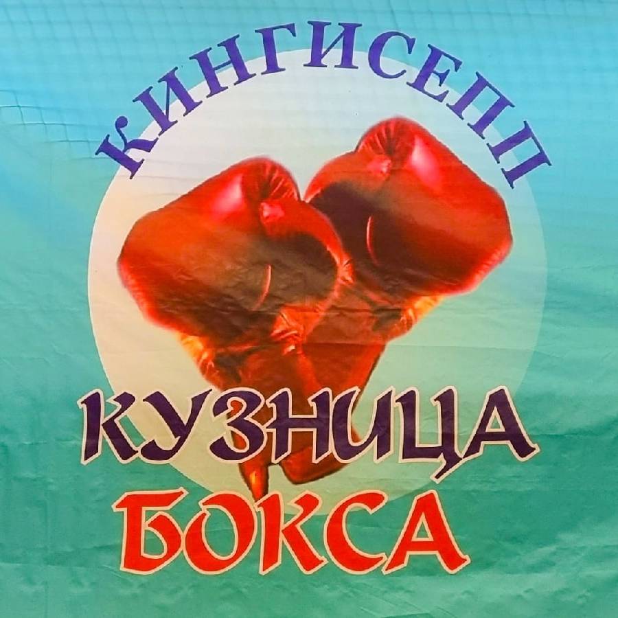 Ямбург Медиа и Наш Боксёрский Петербург