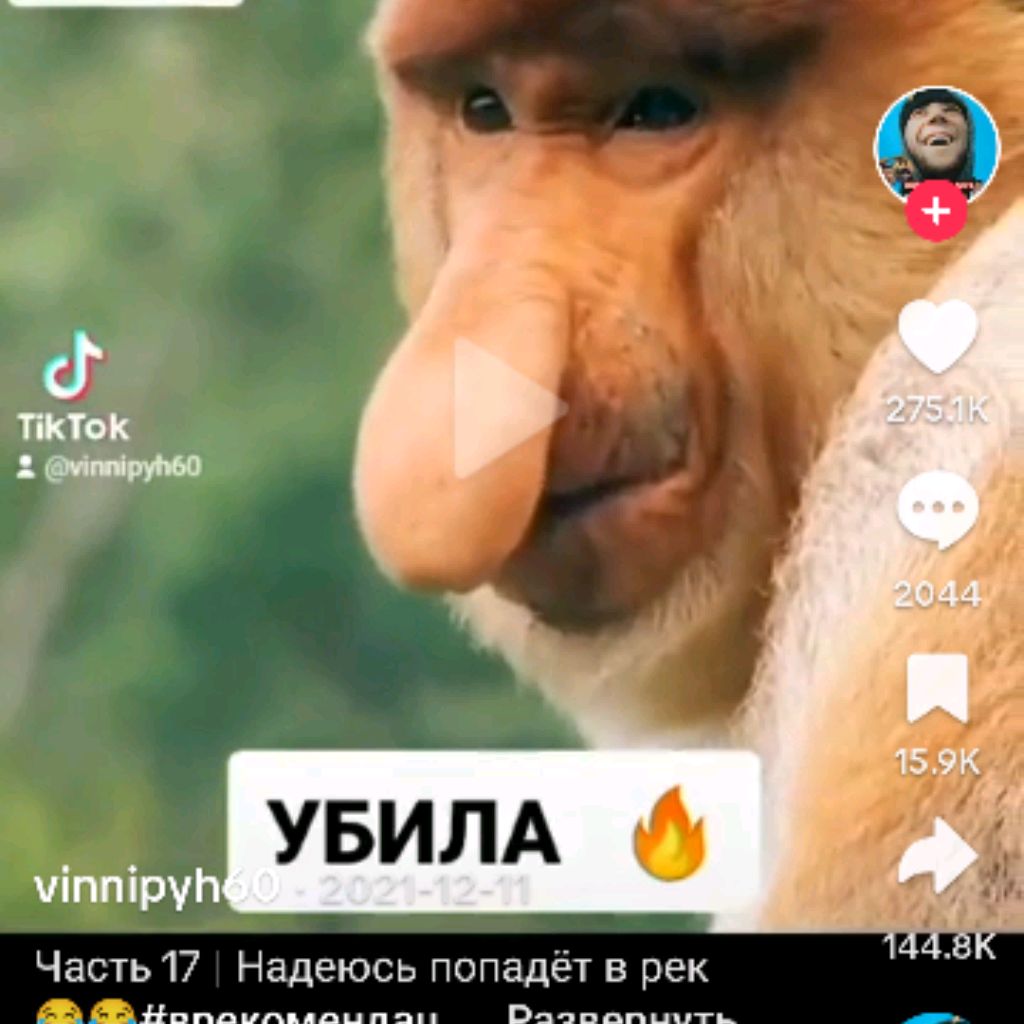 Аватар автора