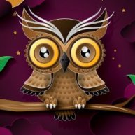Noventum Аватар автора