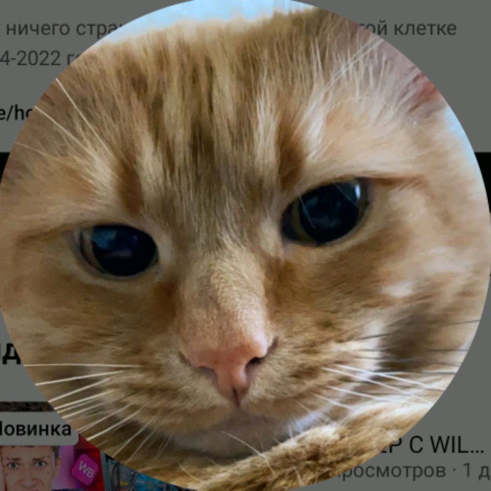 Аватар автора
