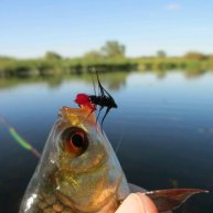 Андрей Д Аватар автора