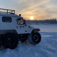 WILD_TRIBE Аватар автора