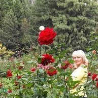 Елена- Крым. Мой любимый Крым Аватар автора