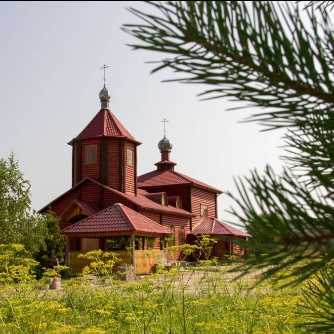 ВСЕМ МИРА И ДОБРА Аватар автора