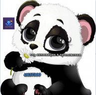 Punk Panda С Еленой Аватар автора