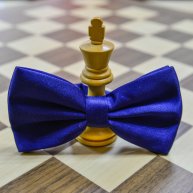 Школа Шахмат Chesswave Аватар автора