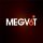 Иконка канала MEGVIT - Автохимия для детейлинга