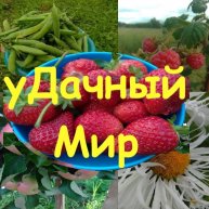 уДачный мир Аватар автора