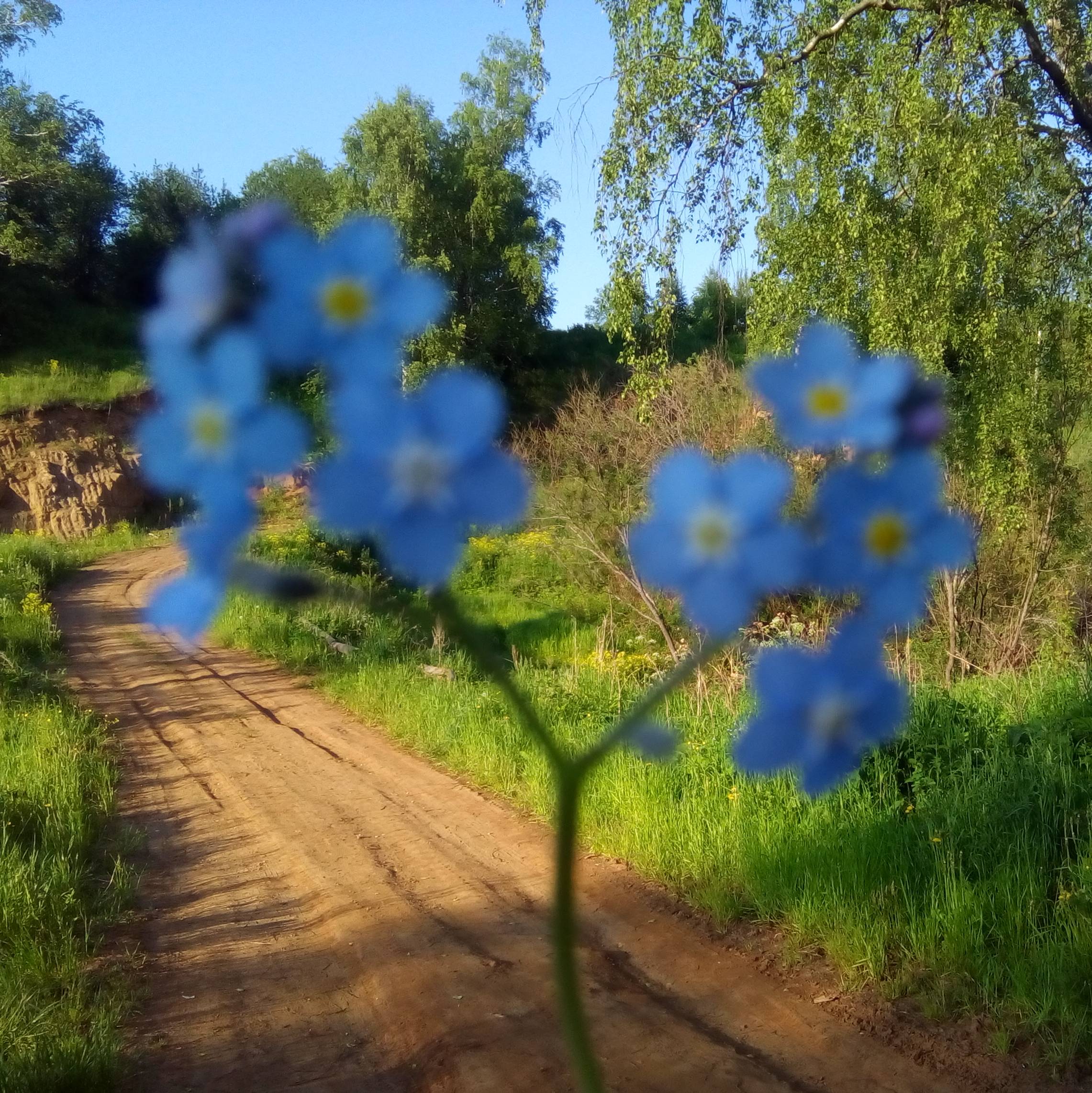 Николай А. Аватар автора