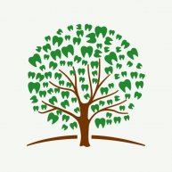 Стоматологическая практика «Фамилия» Аватар автора