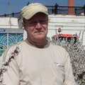 Михаил Васильев Аватар автора