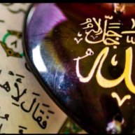ISLAM IS LIFE Аватар автора