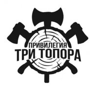 Три Топора Привилегия Аватар автора