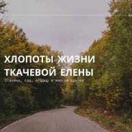 Хлопоты жизни Елены Ткачевой Аватар автора
