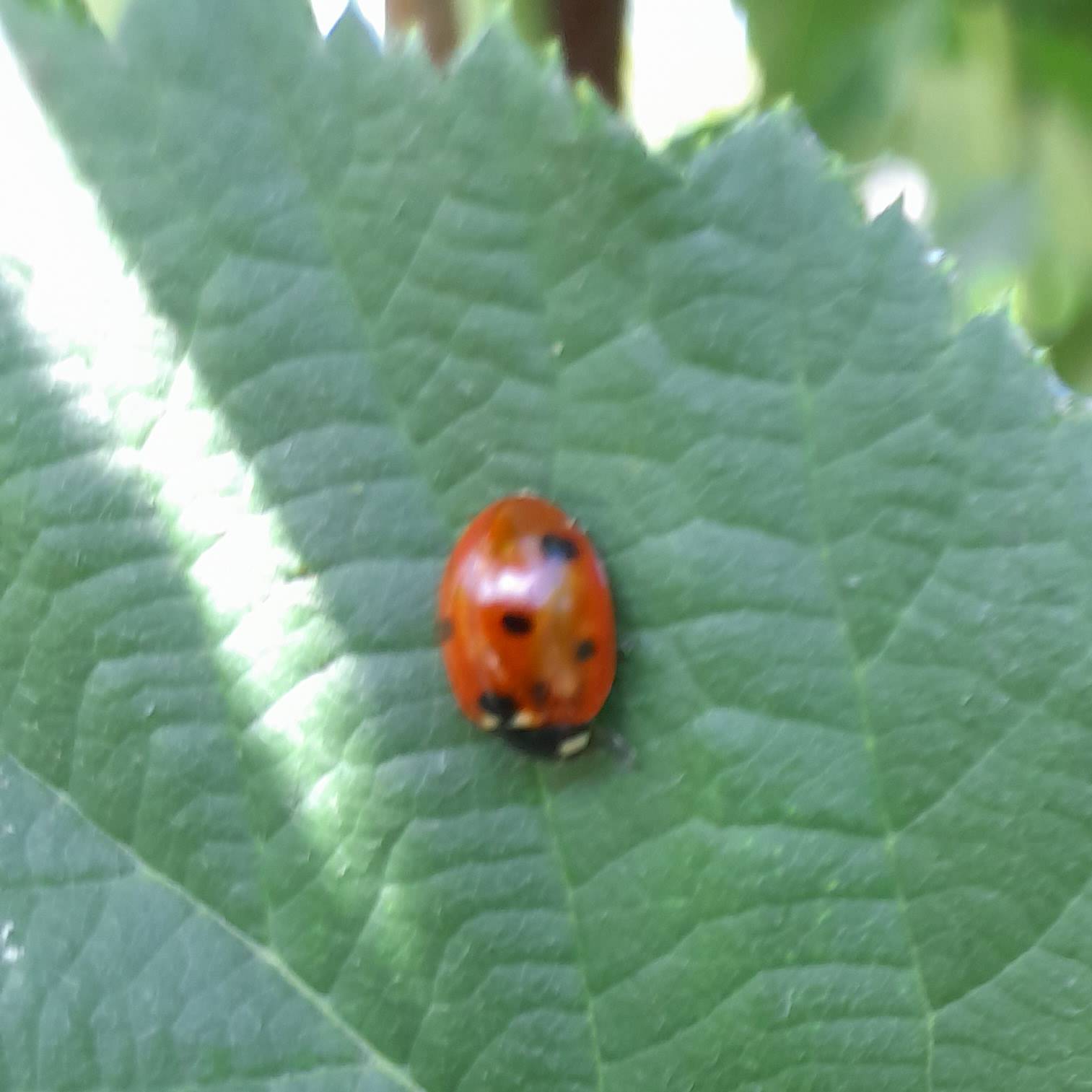 Обо всём интересном понемногу. Аватар автора