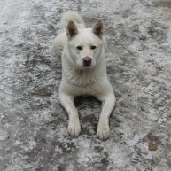VVV Аватар автора
