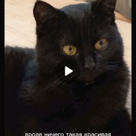 Заметки Олега Аватар автора
