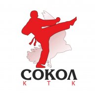 Клуб традиционного карате Сокол Аватар автора