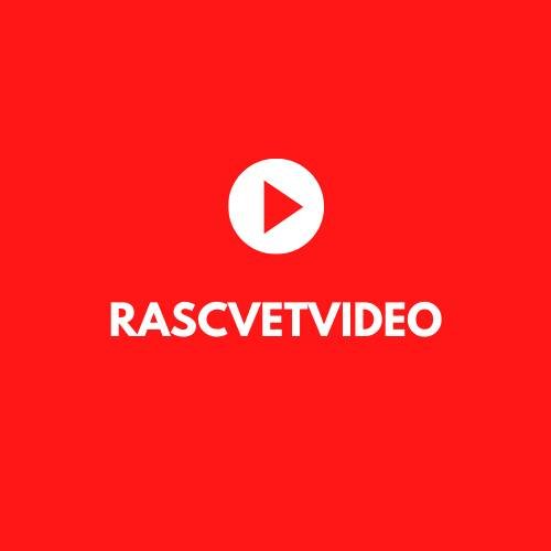 RascvetVideo Аватар автора