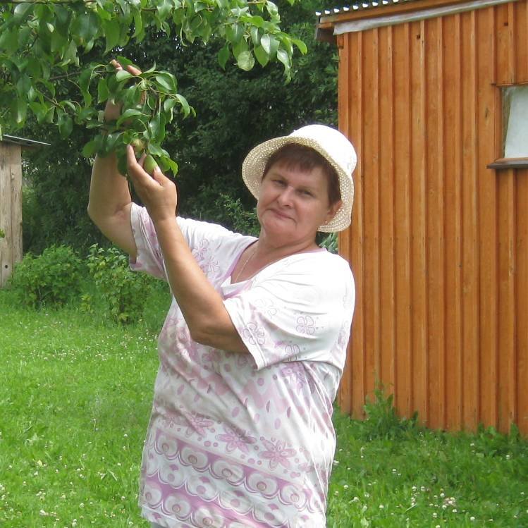Аватар автора