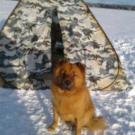 Алексей и Рыжая Аватар автора