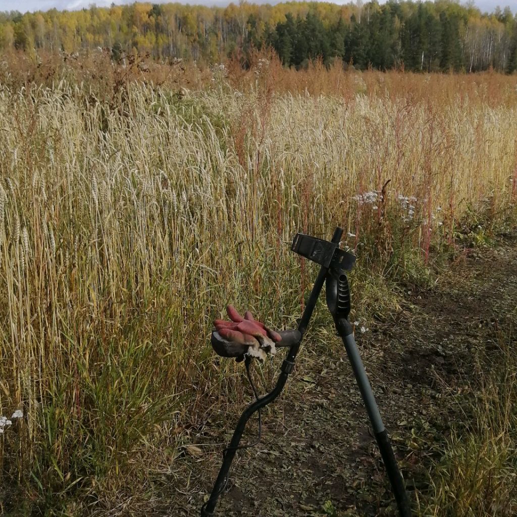 Сибирский поисковик. Аватар автора