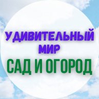 Удивительный Мир! Аватар автора