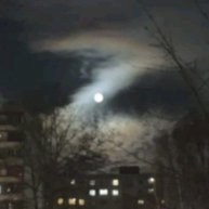trigunatmika Аватар автора