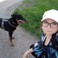 Two tramps | Двое бродяг Аватар автора