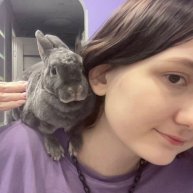 Twin Peaks Rabbits Аватар автора