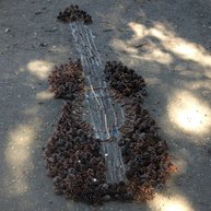 Евгений Петренко ансамбль гитаристов Каламбур Аватар автора