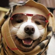 Dr.Smile Аватар автора