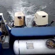 Движняк по жизни Аватар автора