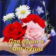 channel26291615 Аватар автора