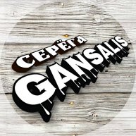 СЕРЁГА GANSALIS Аватар автора