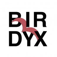 Birdyx. Excel и Google таблицы для бизнеса Аватар автора