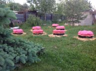 САД И ОГОРОД В МЕШКАХ Аватар автора