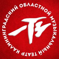 Музыкальный театр39 Аватар автора
