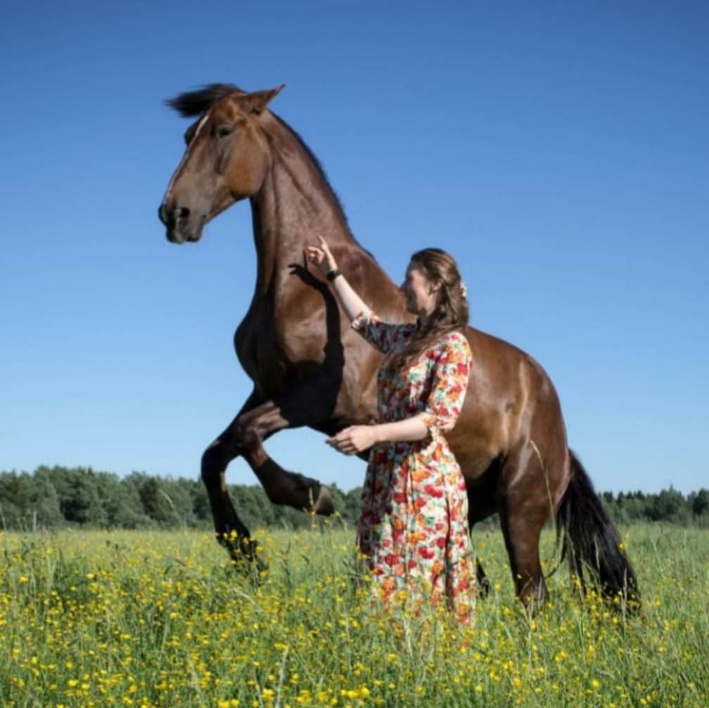 Конерадость. Анастасия Конетренер Аватар автора
